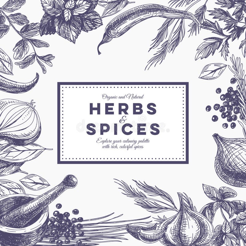 Vector Background with Hand Drawn Herbs and Spices Stock Vector ...