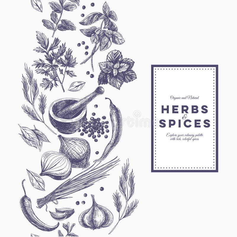 Spices Stock Illustrations – 332,837 Spices Stock Illustrations ...