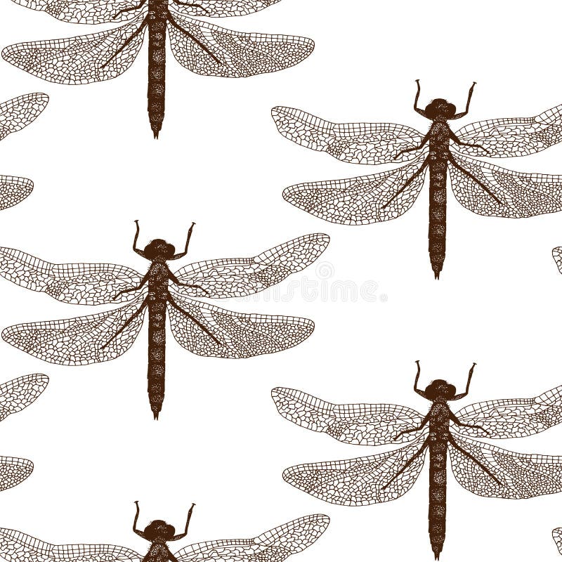 Vector Background with Hand Drawn Insect Illustrations Stock Vector ...