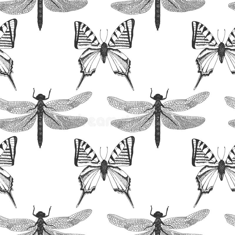 Vector Background with Hand Drawn Insect Illustrations Stock Vector ...