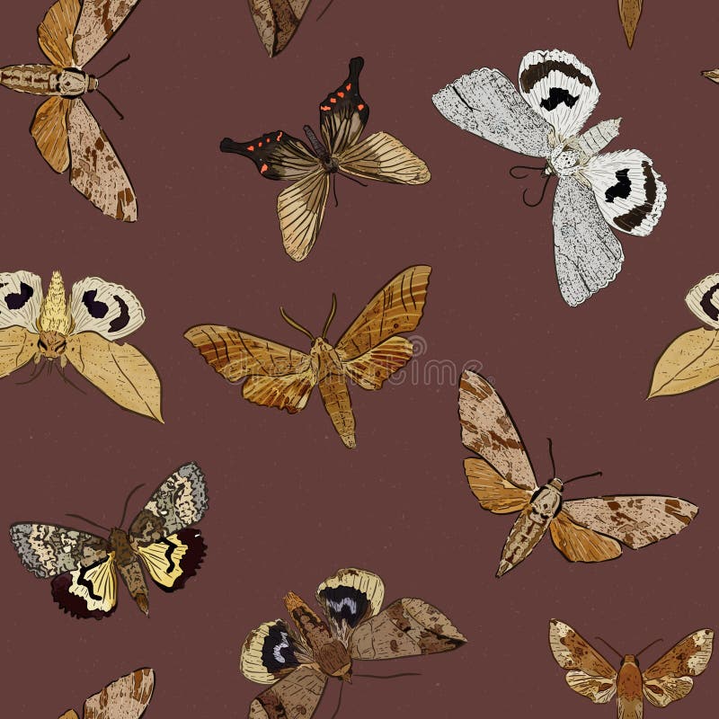 Vector Background with Hand Drawn Moth Illustrations. Seamless Pattern ...