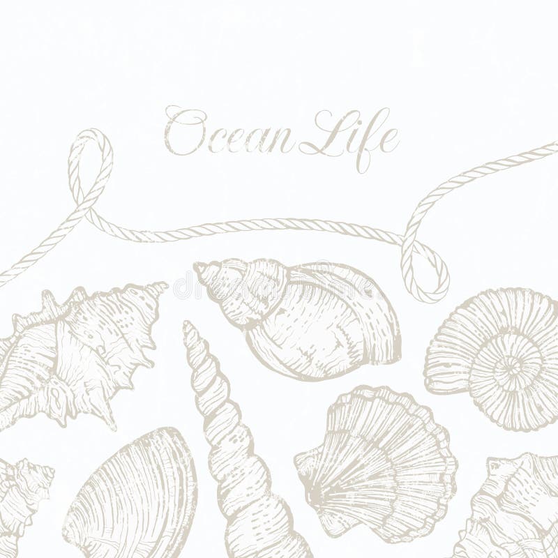 Vector Background with Sea Shells Stock Vector - Illustration of ...