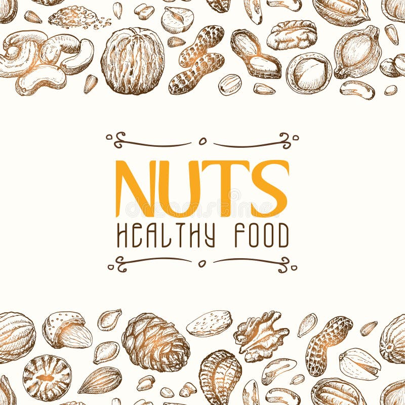 Background with nuts stock vector. Illustration of drawing - 38562235