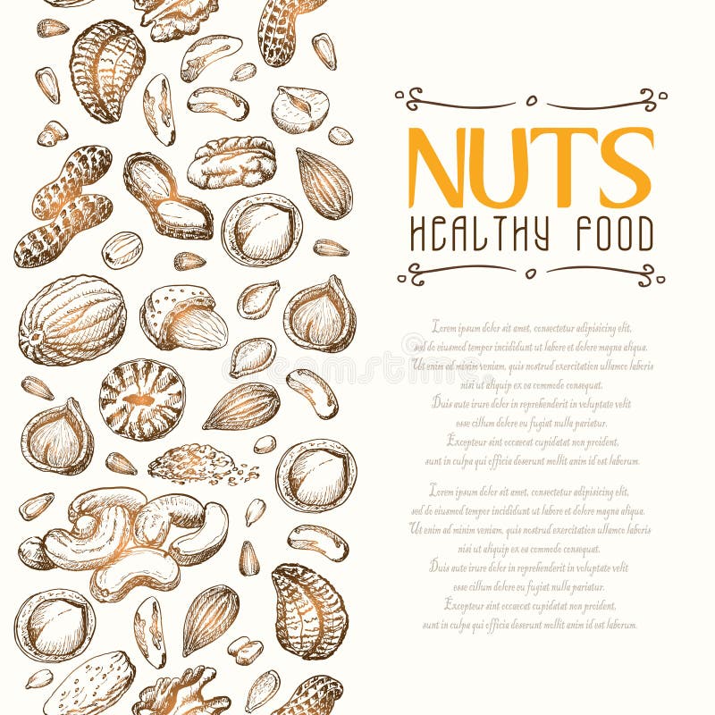 Background with nuts stock vector. Illustration of drawing - 38562235
