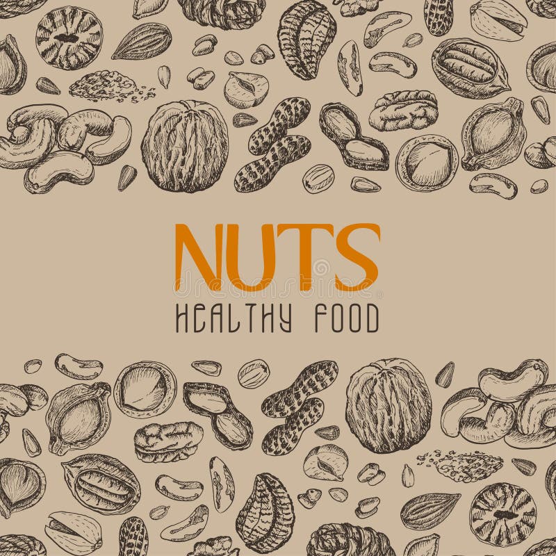 Background with nuts stock vector. Illustration of drawing - 38562235