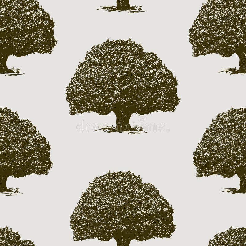 Vector Background of Old Oaks Trees Stock Vector - Illustration of ...