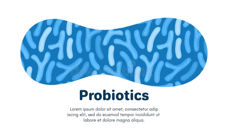 Vector Background with Probiotics. Bifidobacterium, Lactobacillus ...