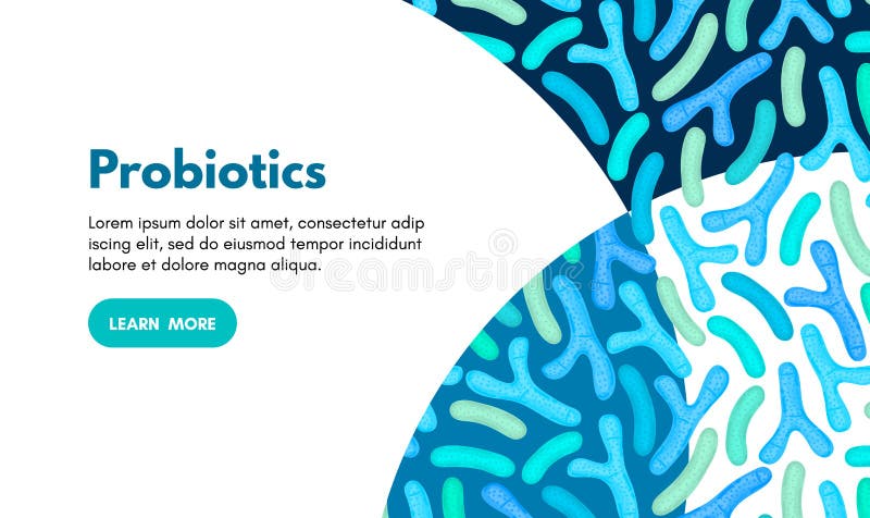 Probiotics Bifidobacterium Image Stock Vector - Illustration of ...