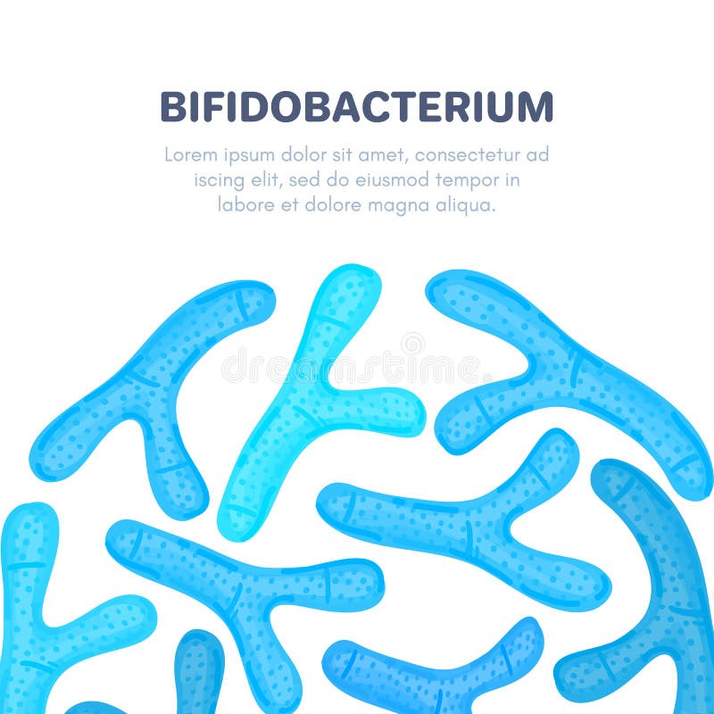 Vector Background with Probiotics. Bifidobacterium, Lactobacillus ...