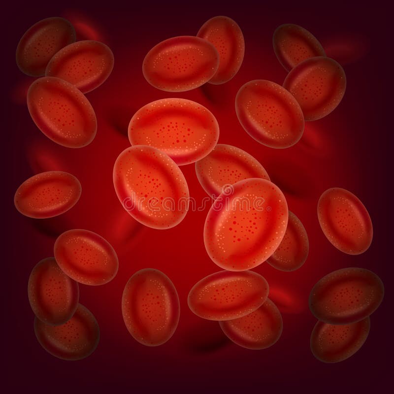 Blood Cells Background Vector Illustration Stock Vector - Illustration ...