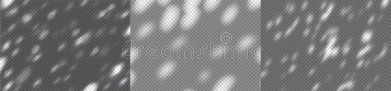 Vector Background with Realistic Shadow of Plant on the Wall with Sun ...