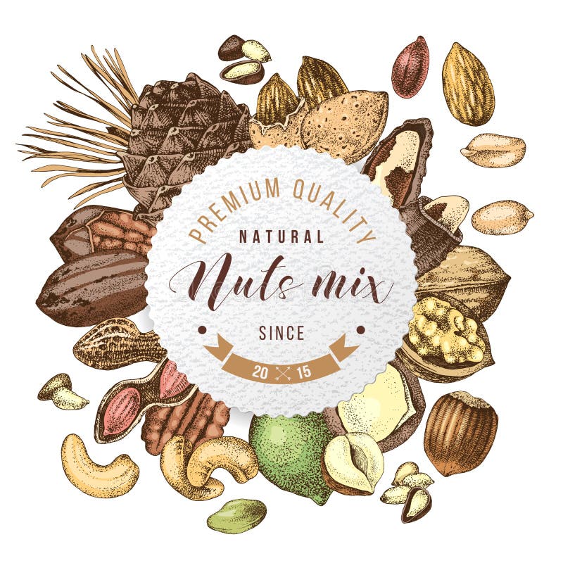 Nut Collection Label Design Stock Illustrations – 1,444 Nut Collection ...