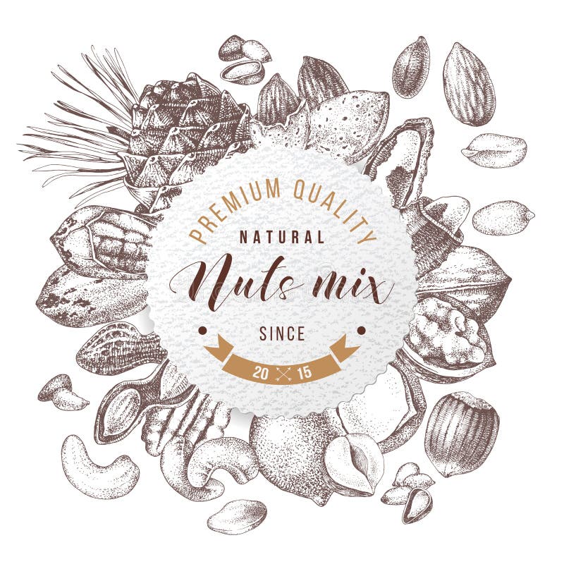 Background with nuts stock vector. Illustration of drawing - 38562235