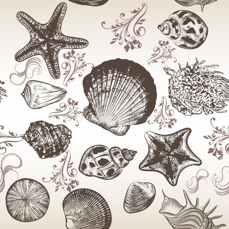 Shells Divider Stock Illustrations – 34 Shells Divider Stock ...