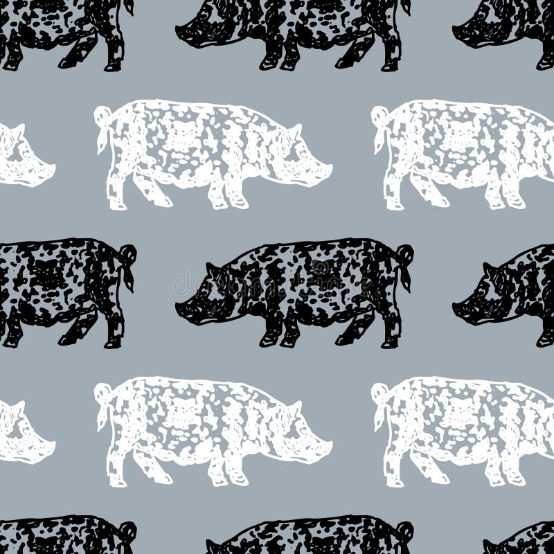 Spotted Pigs Stock Illustrations – 118 Spotted Pigs Stock Illustrations ...