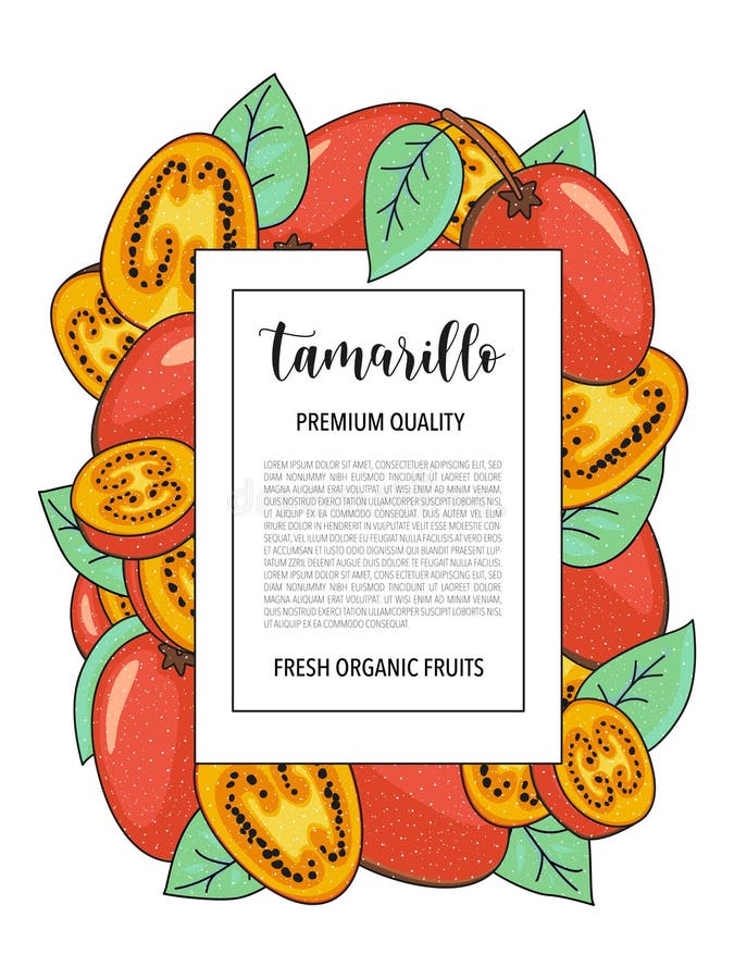 Vector Background with Tamarillo, Whole and Pieces. Vector Stock ...