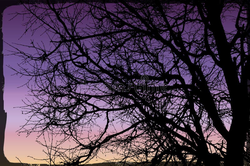 Vector Background Tree Branch Stock Vector - Illustration of outdoor ...