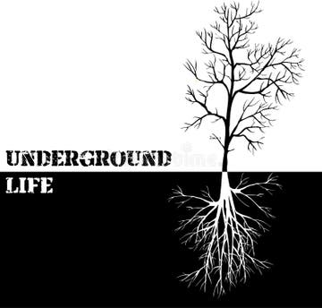 Maple Tree Roots Stock Illustrations – 907 Maple Tree Roots Stock ...