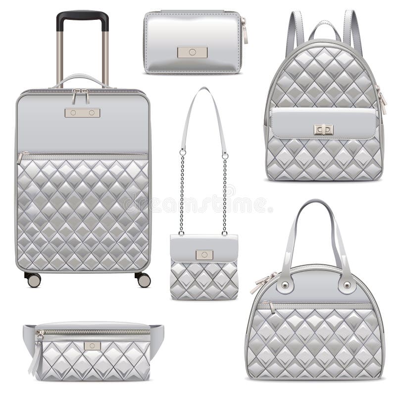 Vector Baggage Silver Set stock vector. Illustration of object - 219429587