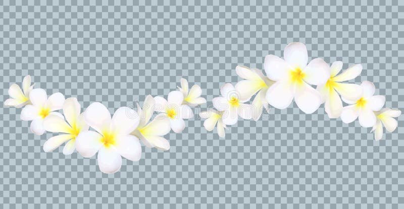 Vector Bali Flowers Border on Transparency Grid Background Stock Vector ...