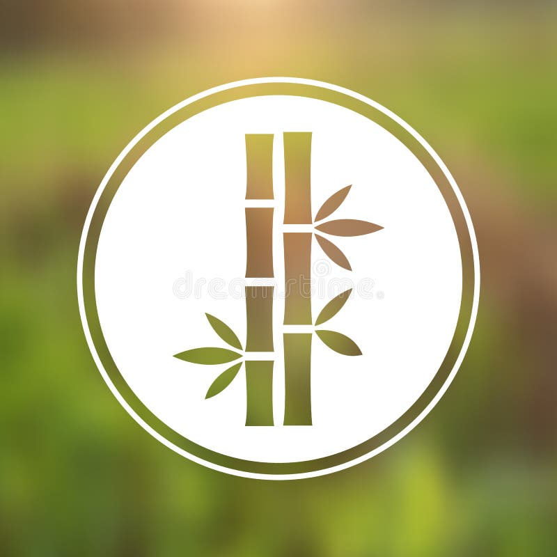 Vector Bamboo Icon Illustration on a Natural Background Stock Vector ...