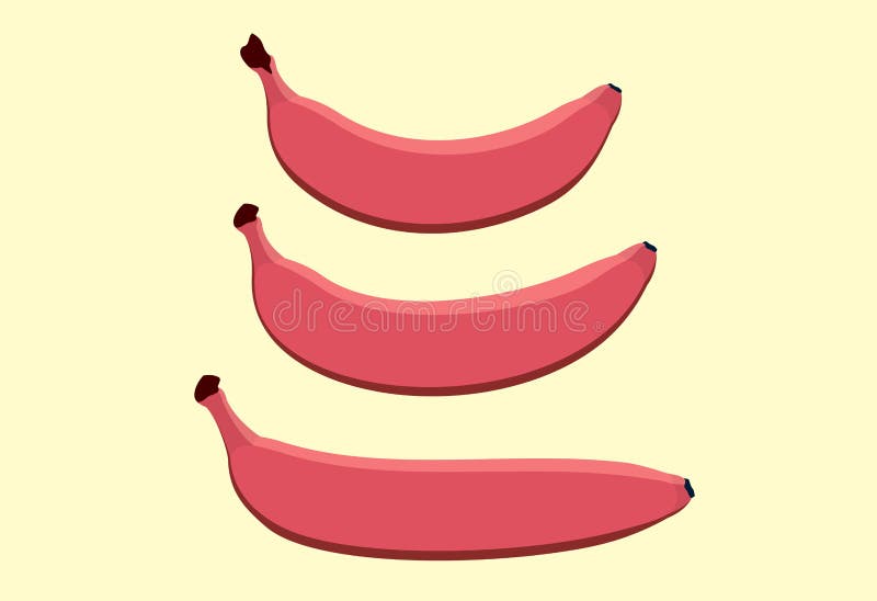 Vector Bananas of Different Shapes. Three Simple Ripe Yellow Bananas ...