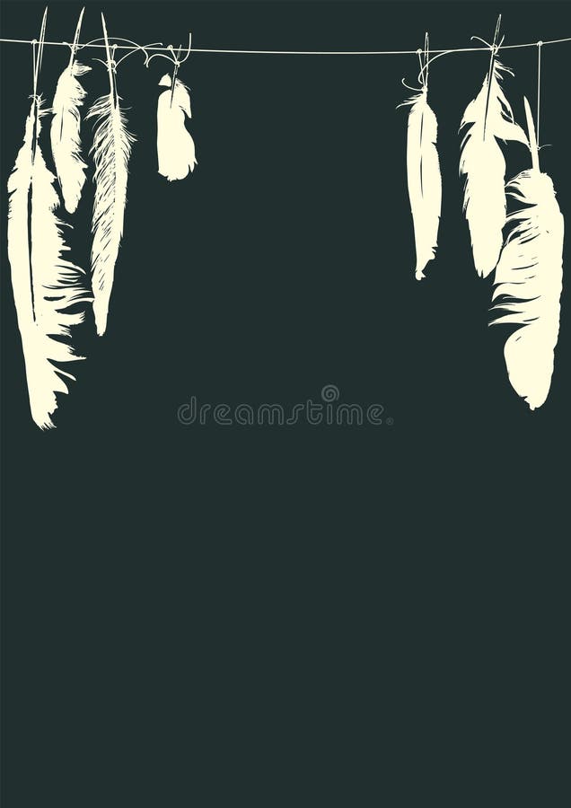 Vector A4 Banner, Background T with Crow White Bird Feathers Stock ...