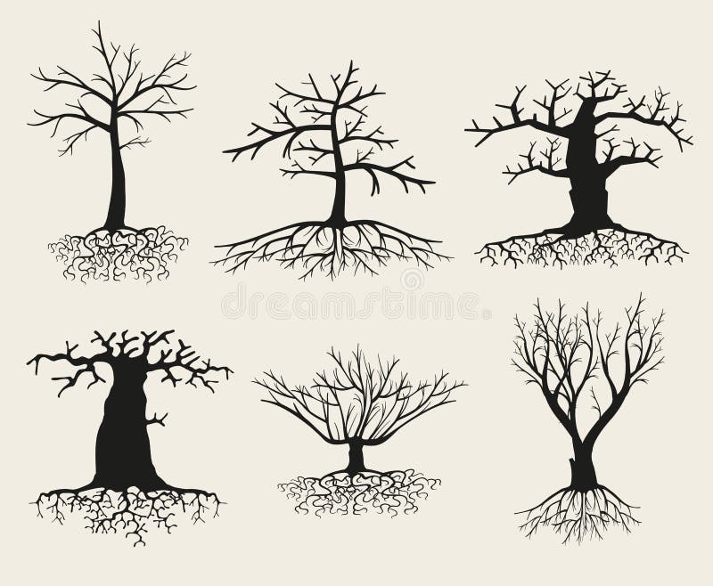 Vector Bare Tree Silhouettes with Roots Stock Vector - Illustration of ...