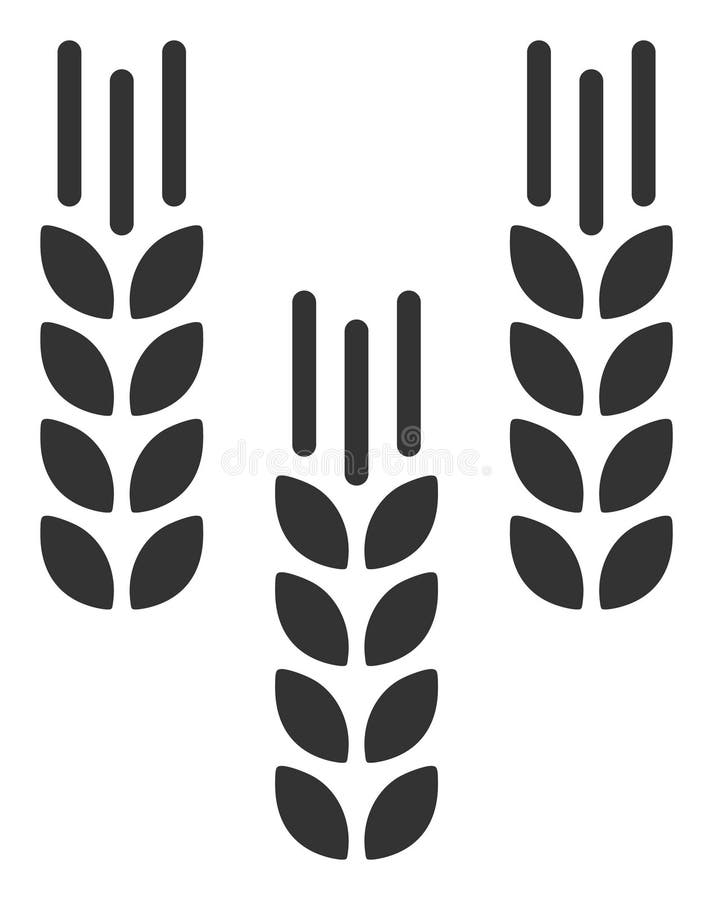 Vector Barley Crop Flat Icon Illustration Stock Vector - Illustration of pictogram, seed: 231412022