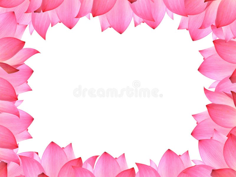 940 Lotus Flower Vector Design Stock Photos - Free & Royalty-Free Stock ...