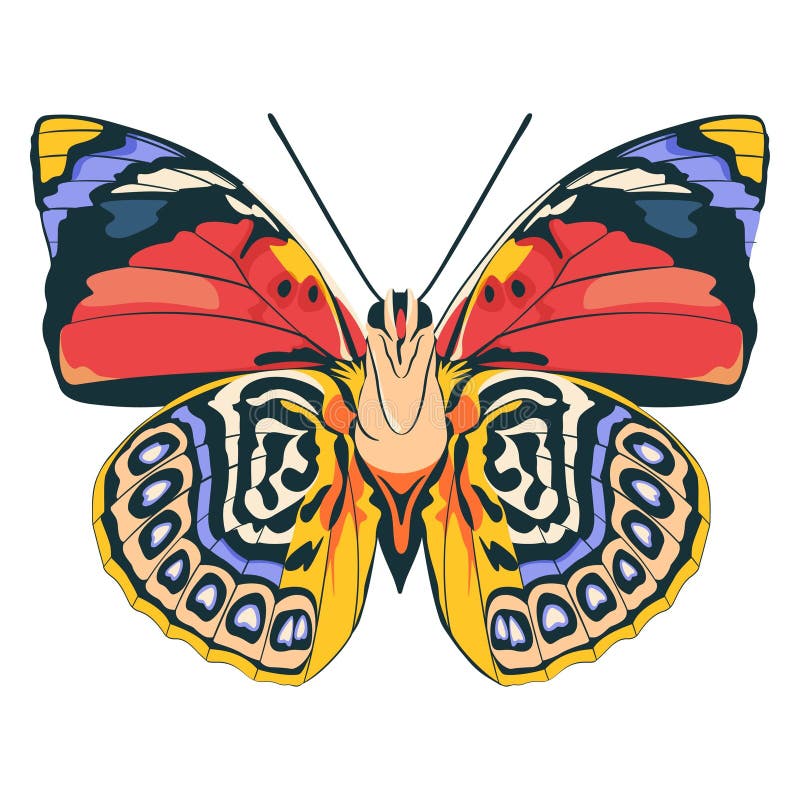 Vector Beautiful Butterfly Cartoon Illustration Isolated Stock Vector ...