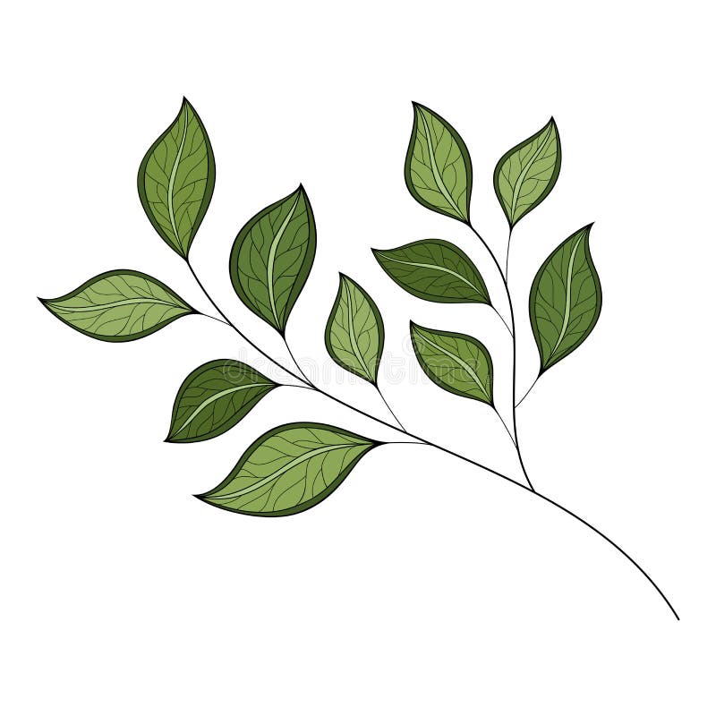 Leaf Contour Vector Stock Illustrations – 193,077 Leaf Contour Vector ...