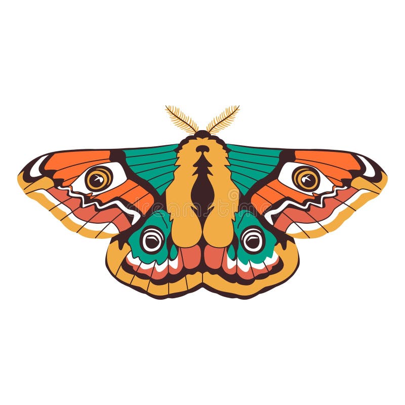 Vector Beautiful Emperor Moth Cartoon Illustration Isolated Stock ...