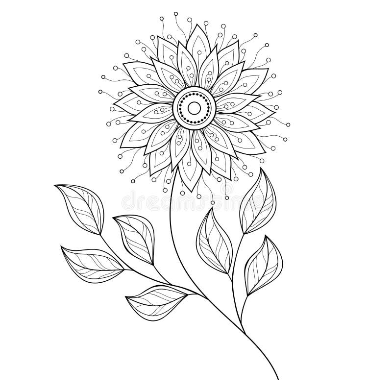 Vector Beautiful Monochrome Contour Flower Stock Vector - Illustration ...