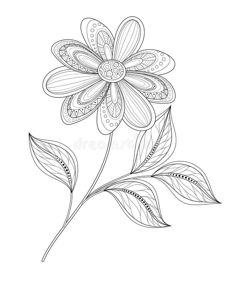 Vector Beautiful Monochrome Contour Flower Stock Vector - Illustration ...