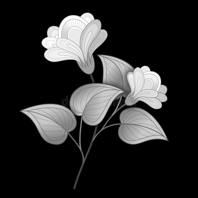 Vector Beautiful Monochrome Flower Stock Vector - Illustration of boho ...