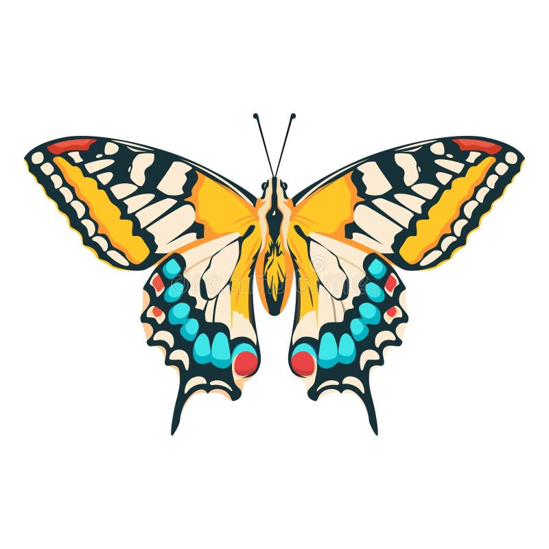 Vector Beautiful Swallowtail Butterfly Cartoon Illustration Isolated ...