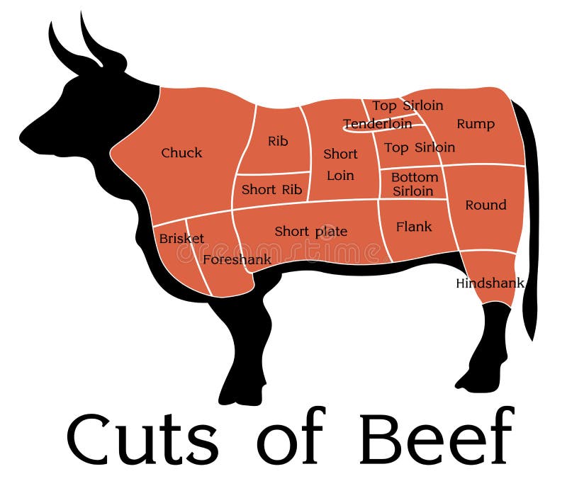 Angus Beef Chart Stock Illustrations – 49 Angus Beef Chart Stock ...