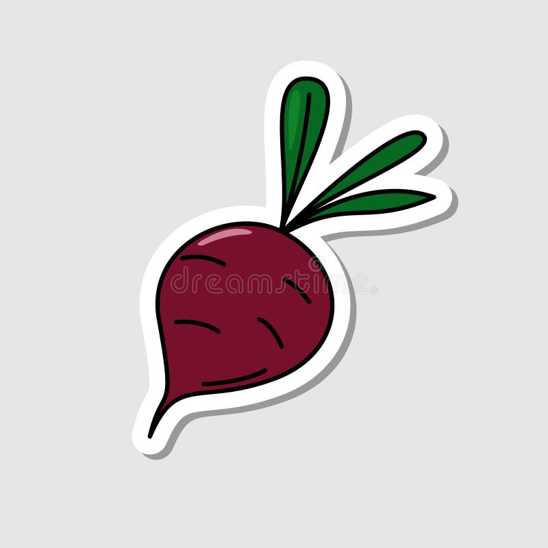 Vector Beetroot Sticker in Cartoon Style. Isolated Vegetable with ...