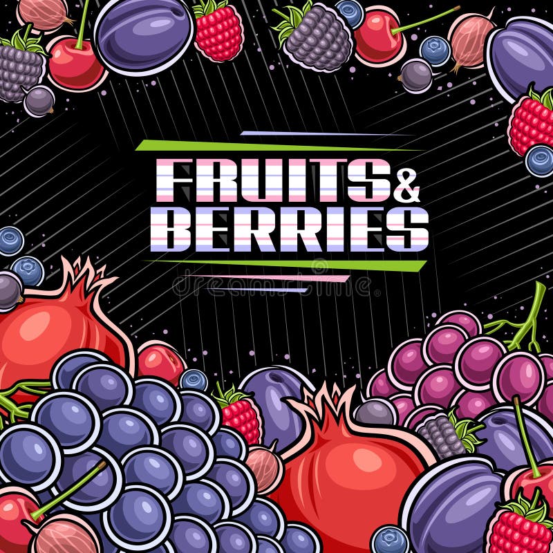 Vector Berries Layout stock vector. Illustration of vector - 352408869