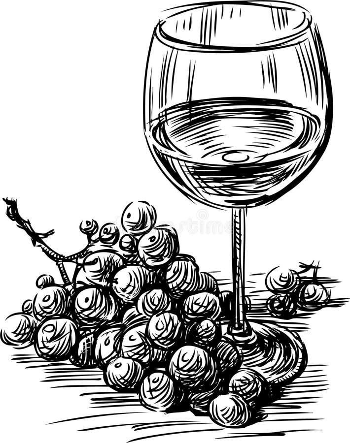 Trauben und Wein vektor abbildung. Illustration von traube - 30134883