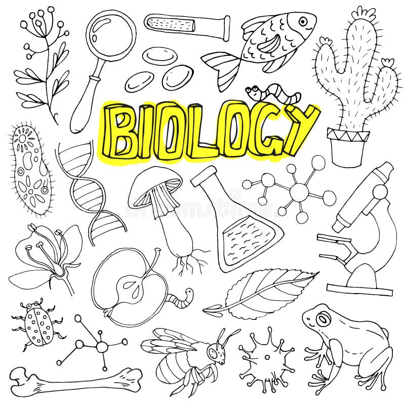Vector Biology Science Doodles. Back To School Illustration. Stock ...