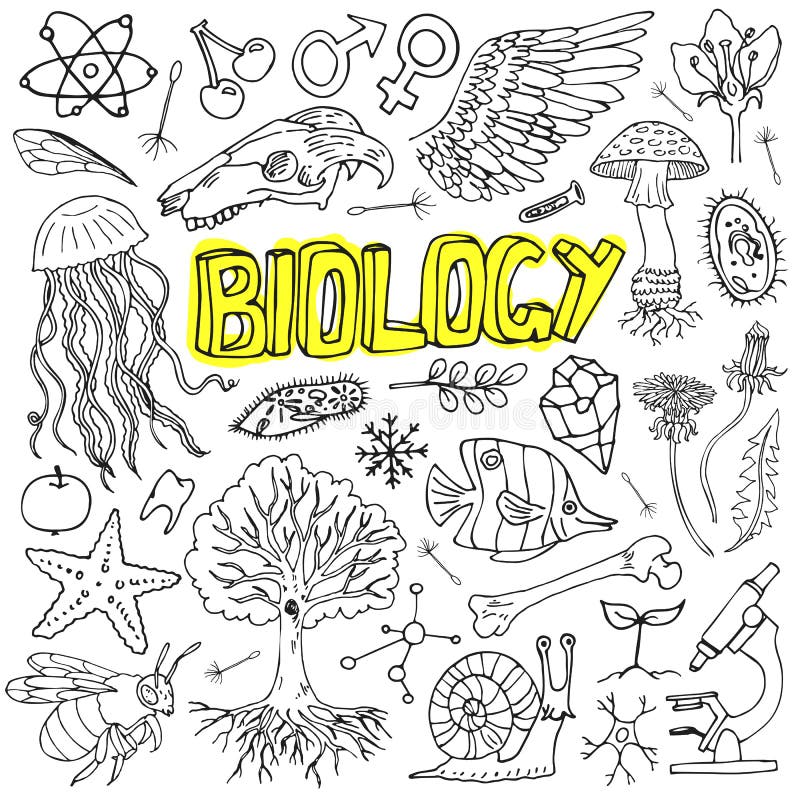 Biology Doodles Seamless Pattern Stock Vector - Illustration of ...