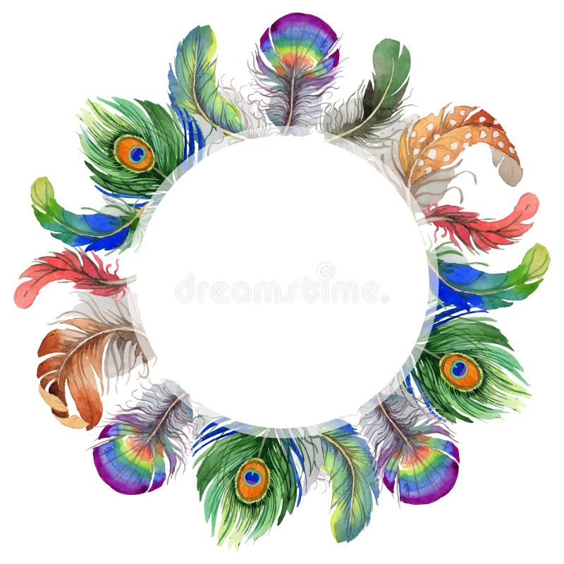 Vector Bird Feather Frame from Wing. Stock Vector - Illustration of ...