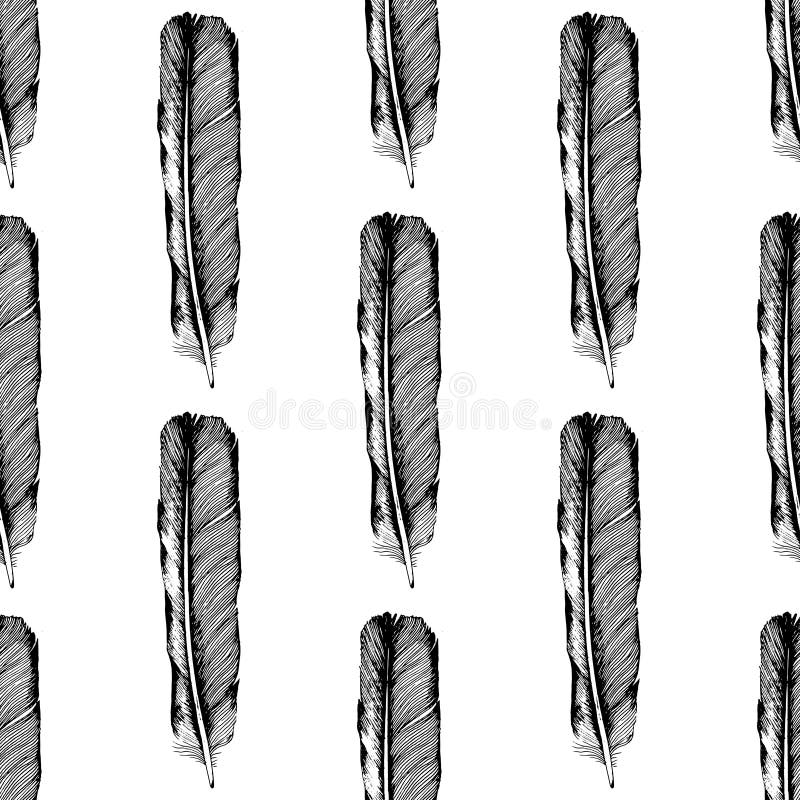Vector Bird Feather Pattern from Wing. Stock Vector - Illustration of ...