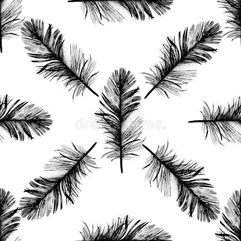 Vector Bird Feather from Wing Isolated. Black and White Engraved Ink ...