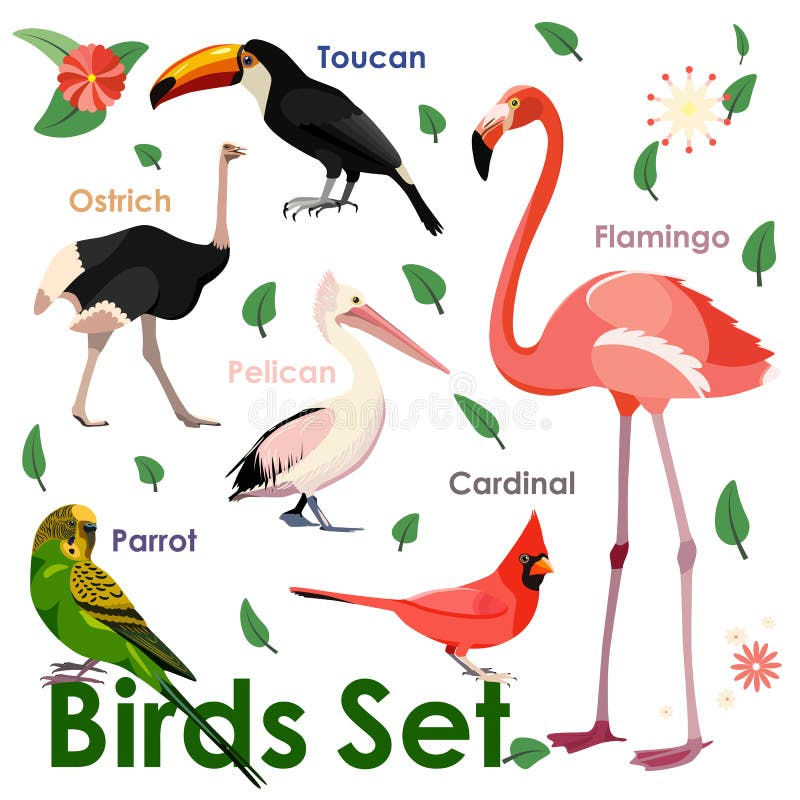 Vector Bird Icons. Colorful Realistic Birds Stock Vector - Illustration ...