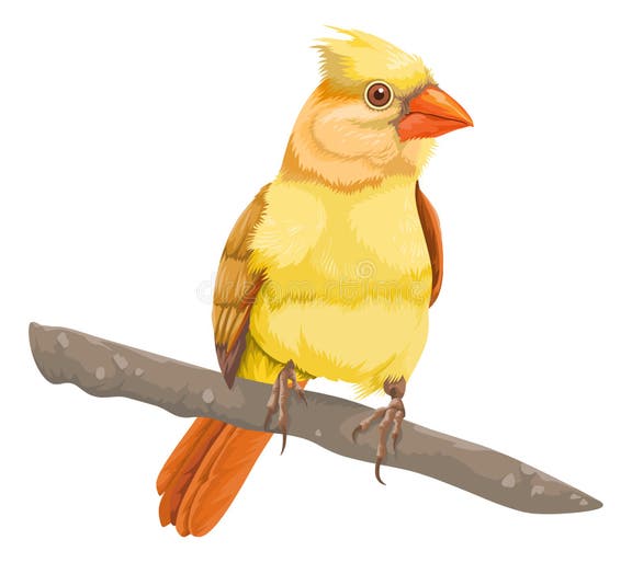 Vector of Bird Perching on Branch Stock Vector - Illustration of ...