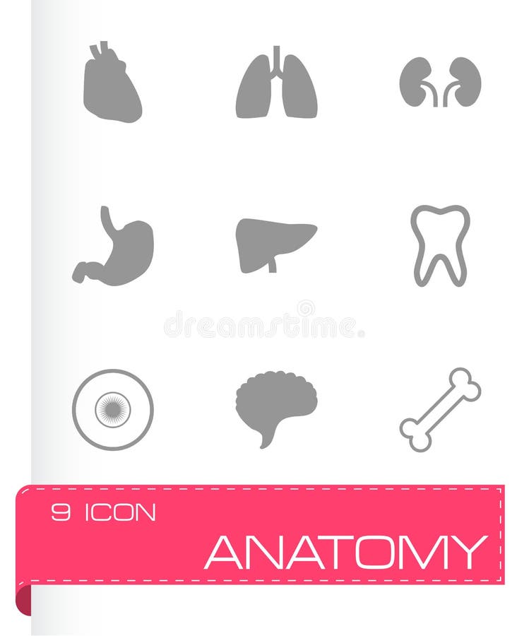 Anatomy Icons Set, Cartoon Style Stock Vector - Illustration of ...