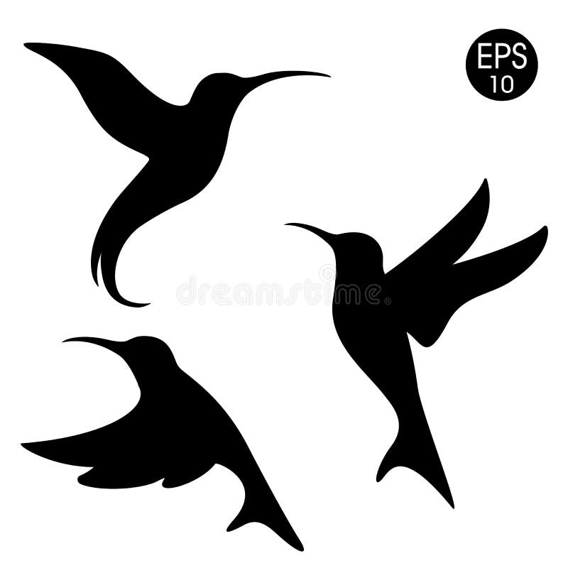 Colibri Bird Silhouette. Black Vector Illustration of Exotic Flying ...